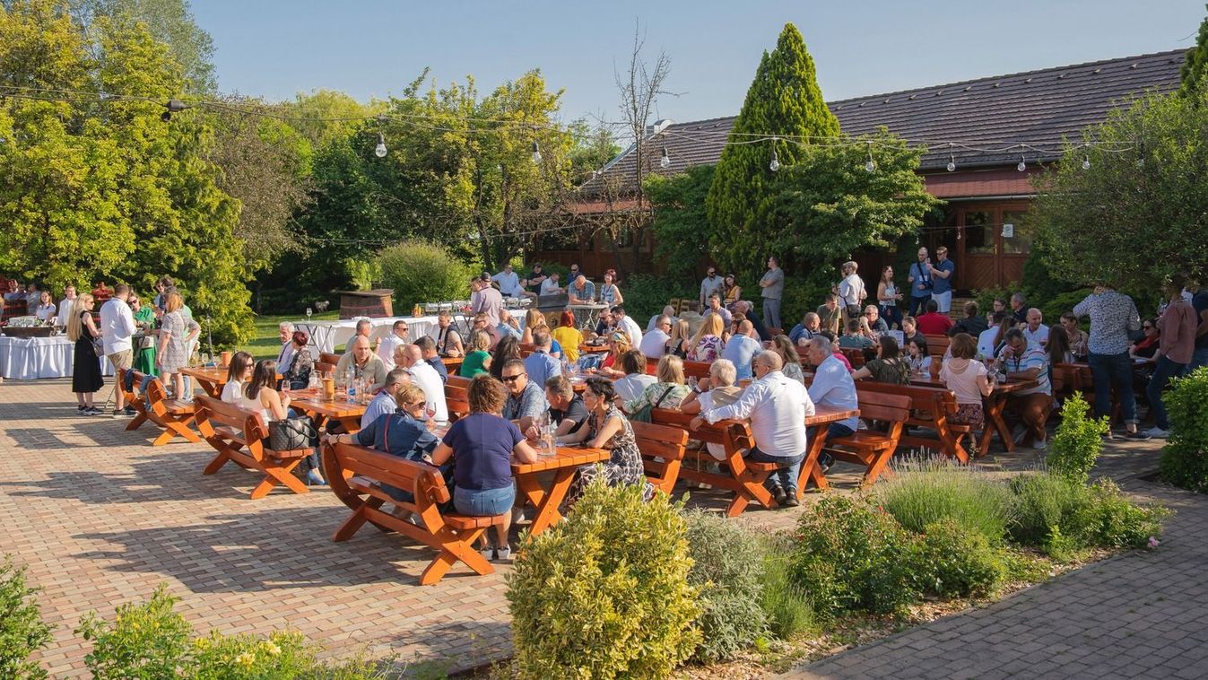 A bor és a jazz szerelmeseit várják Borotán