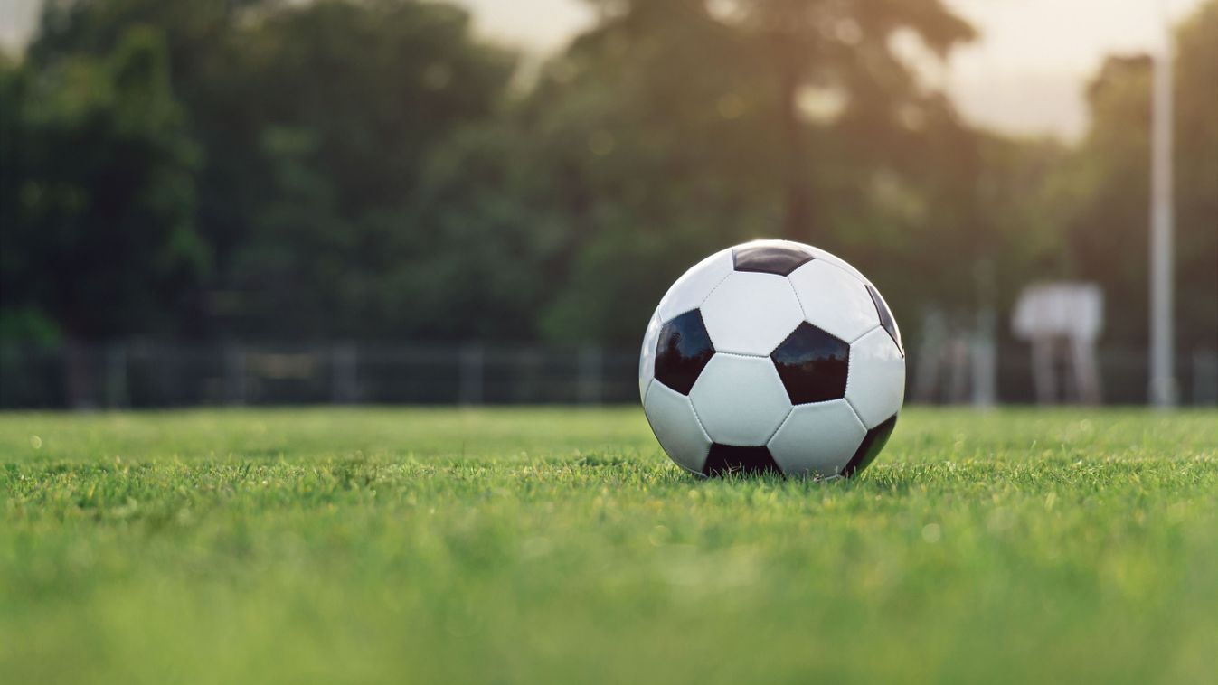 A Kécske kapust és támadót igazolt