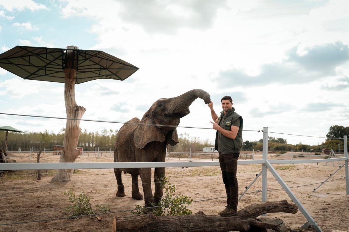 A Richter Safari Park új lakója Szamba, a francia elefánt