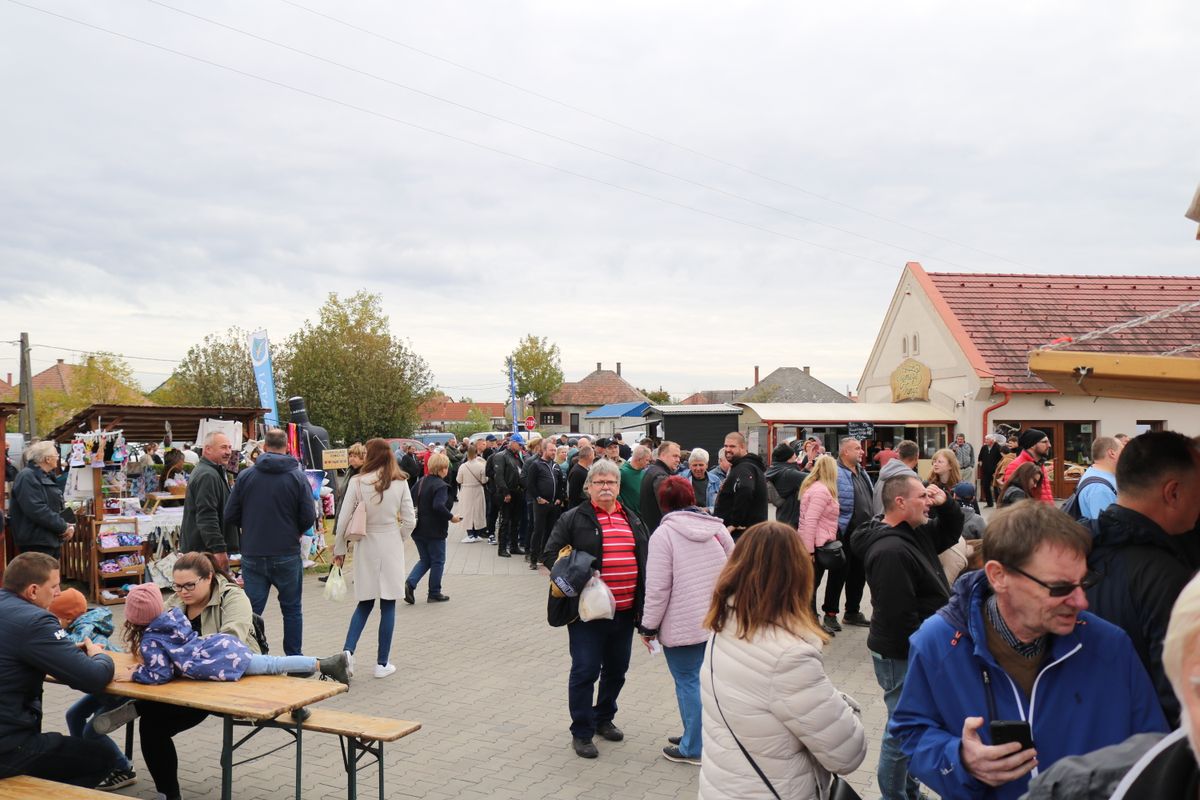 Az első Pacal Piknik ezreket vonzott Dunapatajra