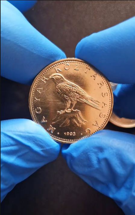 Ritka 500 forintos érme akár 6 milliót is érhet