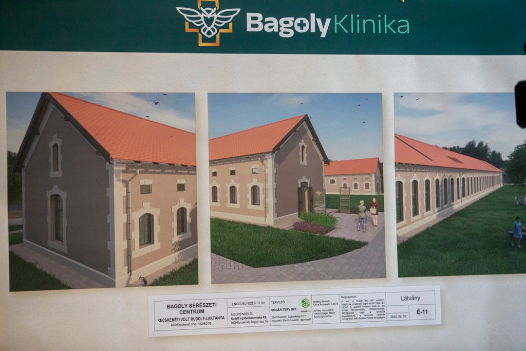 A Bagoly Klinika egynapos sebészettel várja a betegeket
