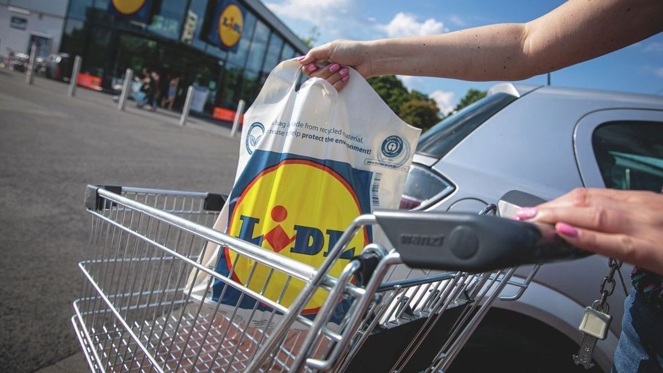 Csütörtöktől mindenki ezt keresi a Lidlben – a zöld csoda, ami új ...