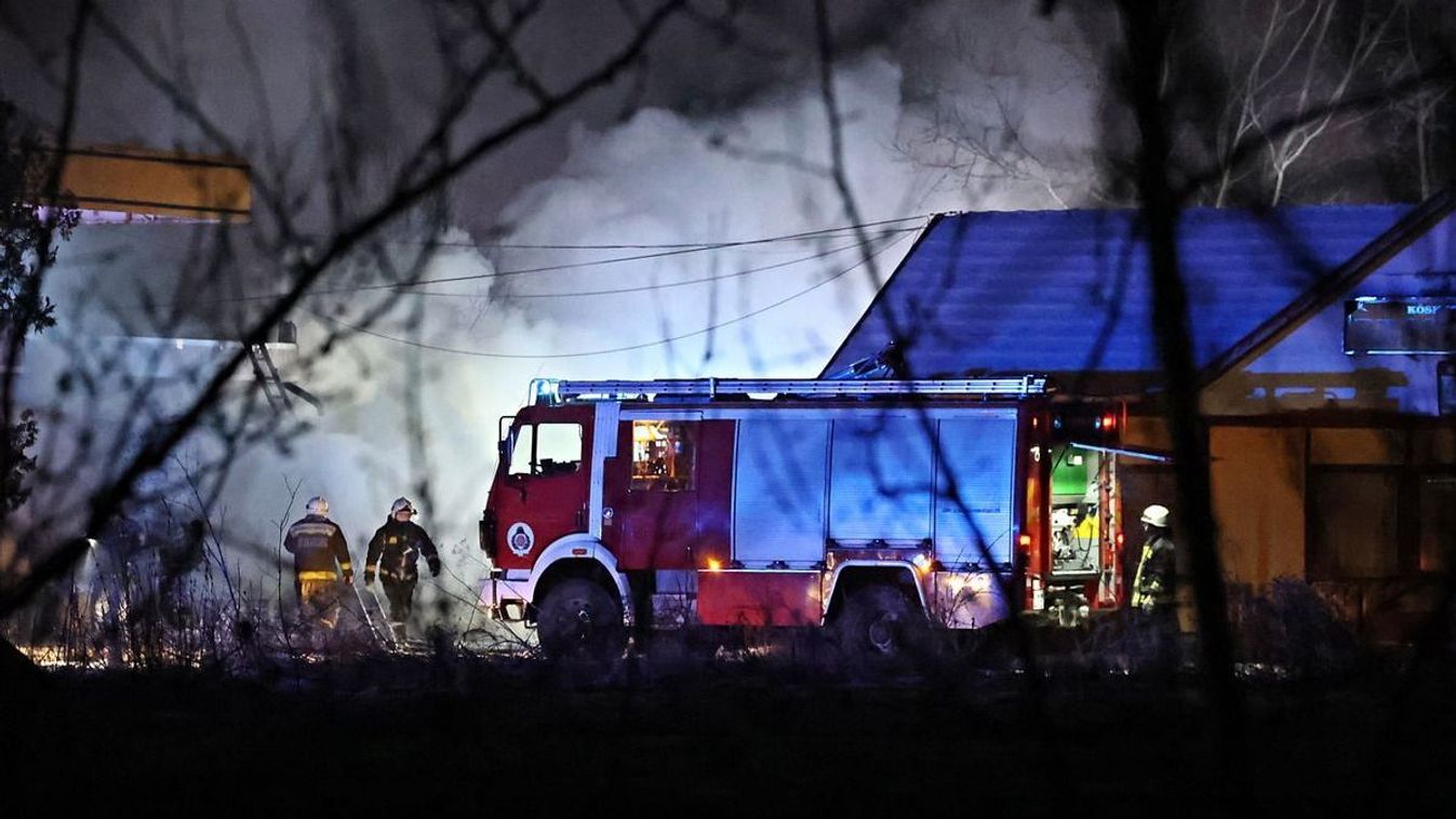 Ez a döntés született Rozi kutya gazdájának ügyében