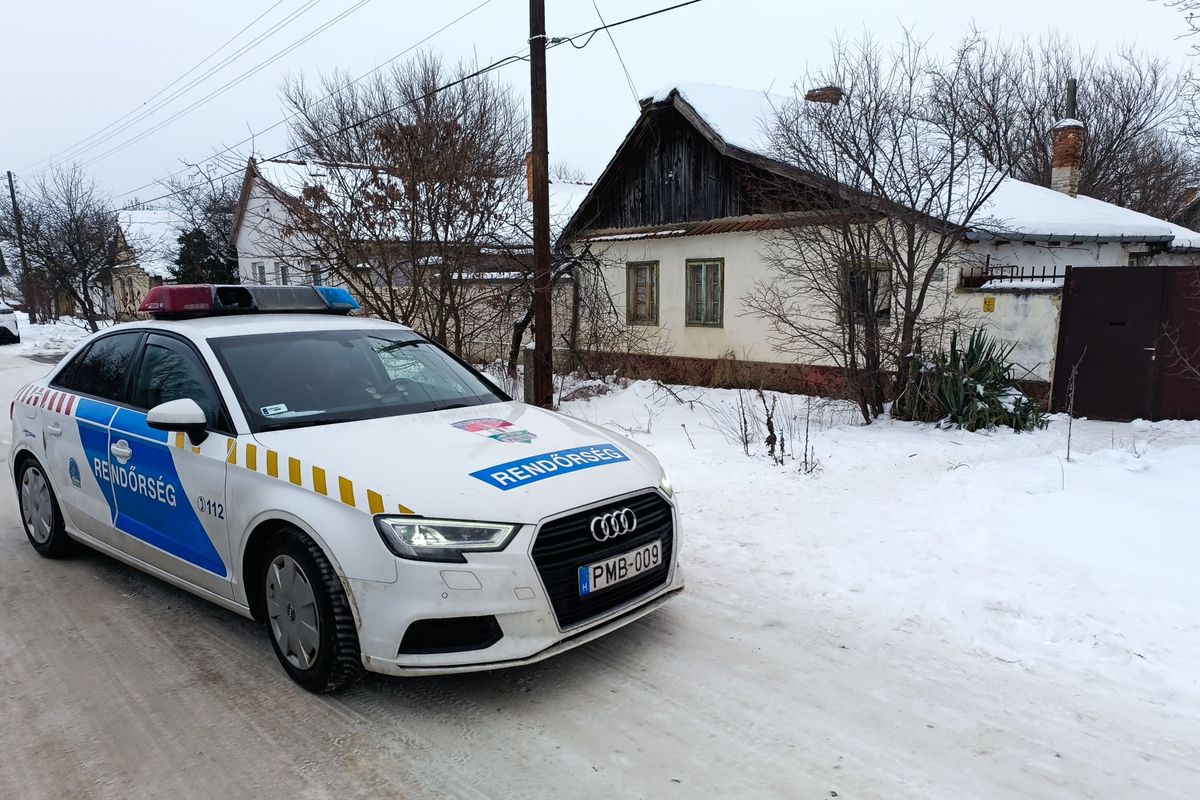 Saját kutyái falták fel egy mélykúti férfi maradványait