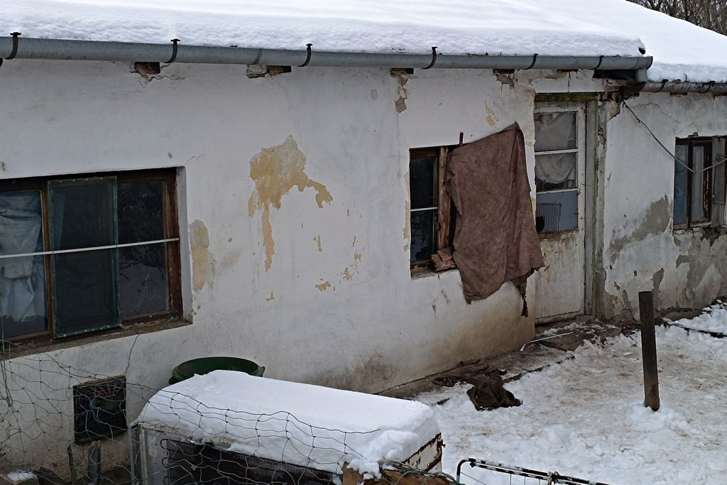 Saját kutyái falták fel egy mélykúti férfi maradványait