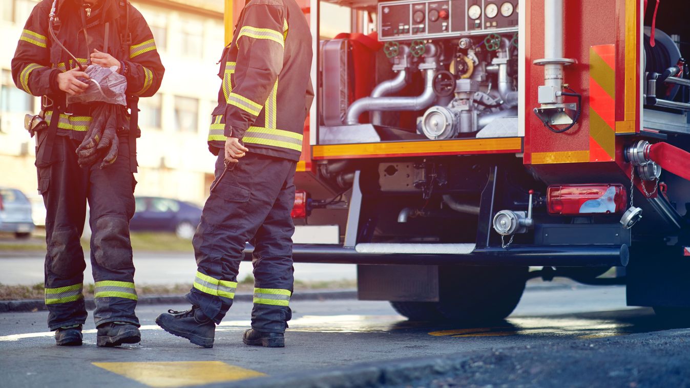 Szarvast gázoltak az 54-es főúton, az autó lángra kapott